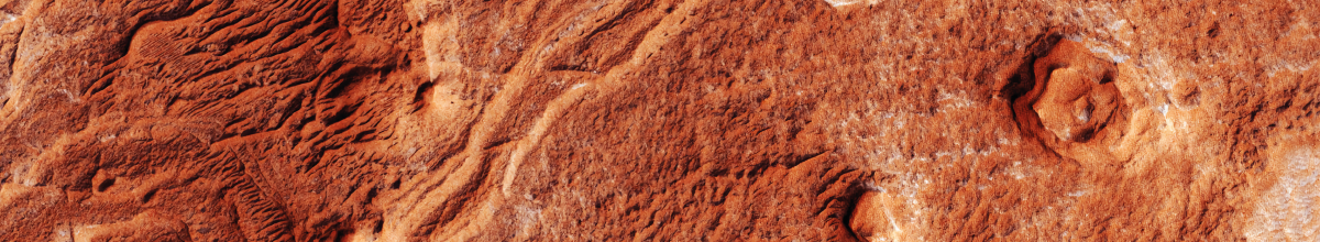 KPC Forest & Garden | KPC - Ribe Energy